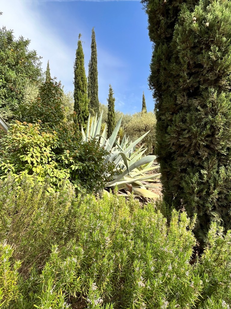 Spring Landscape in Andalucia - Art Draw Paint