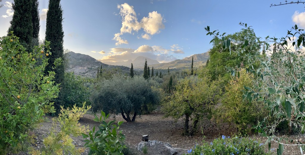 Andalucia: Landscape and Portraiture in February and March 2025 - Art ...